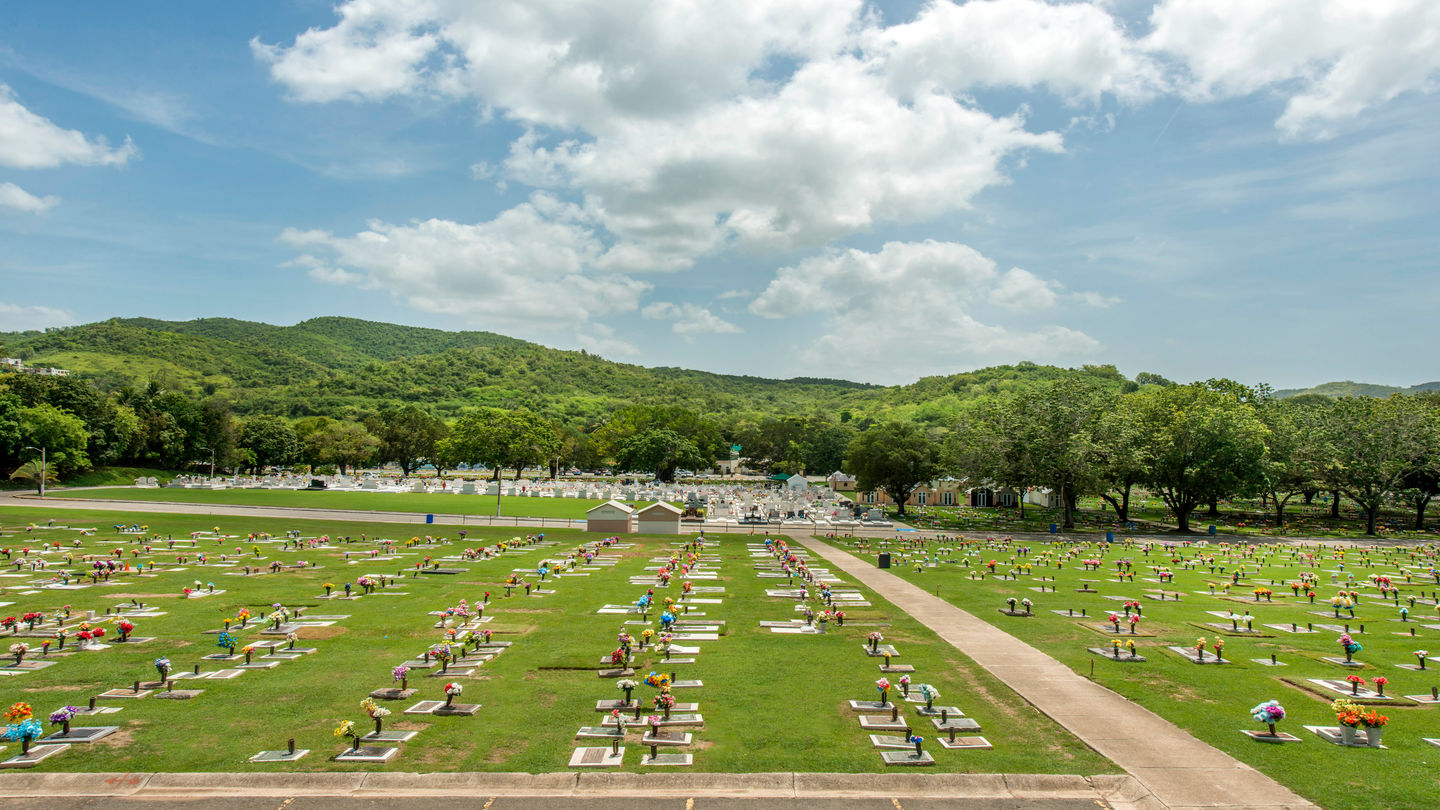 Send Flowers To Ponce Puerto Rico | Best Flower Site