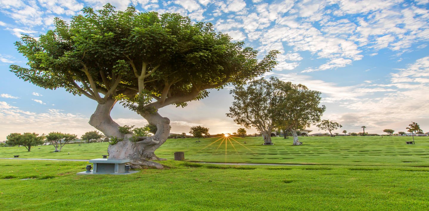 Cemetery - Pacific View Memorial Park