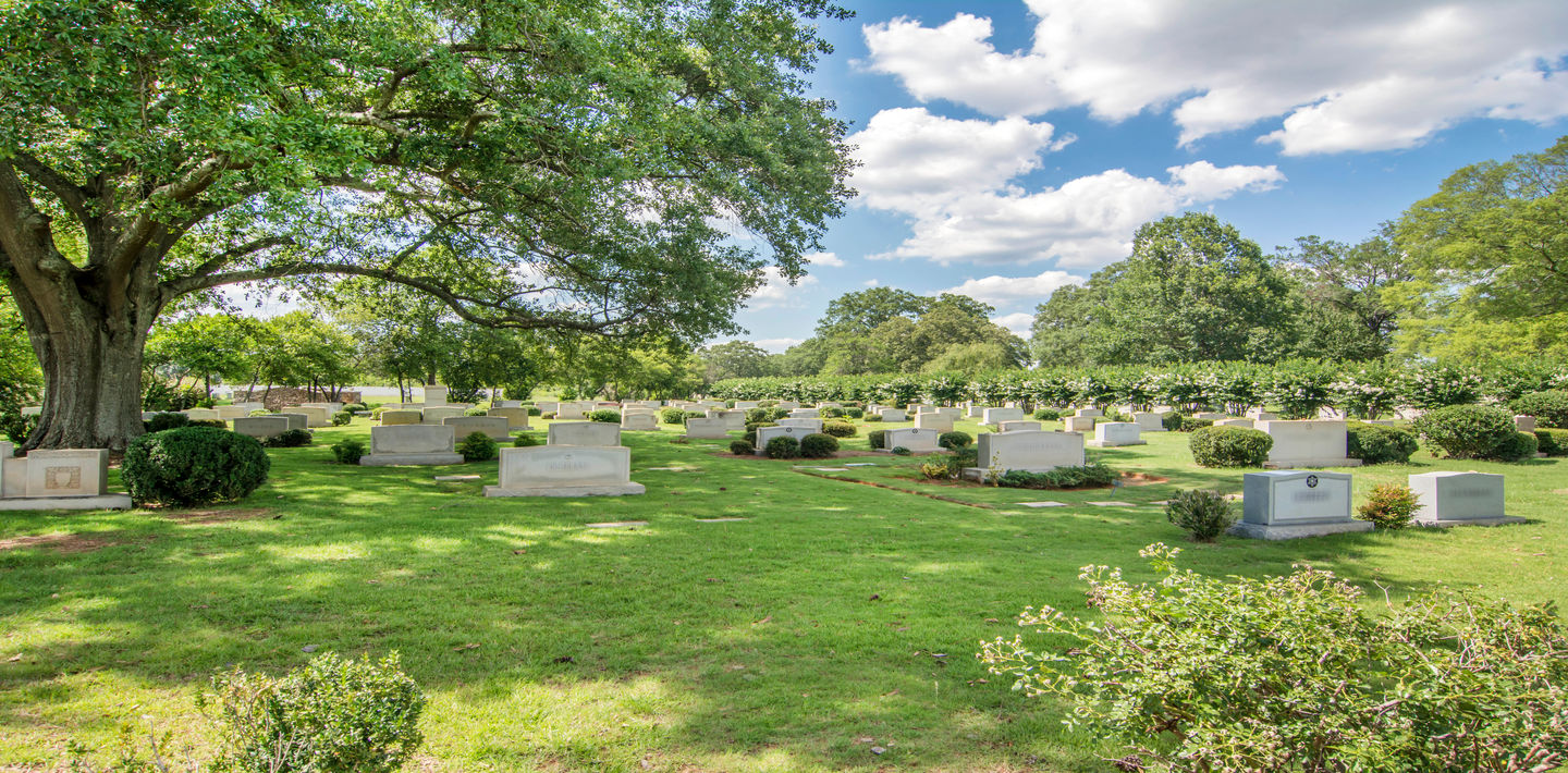 Cemetery - Elmwood Cemetery & Mausoleum
