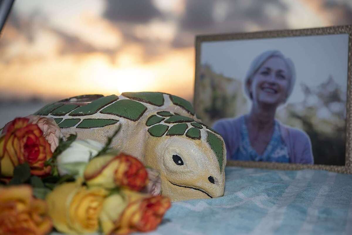 Neptune Memorial Reef