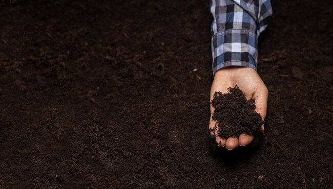 What To Do With Soil After Human Composting | FAQs